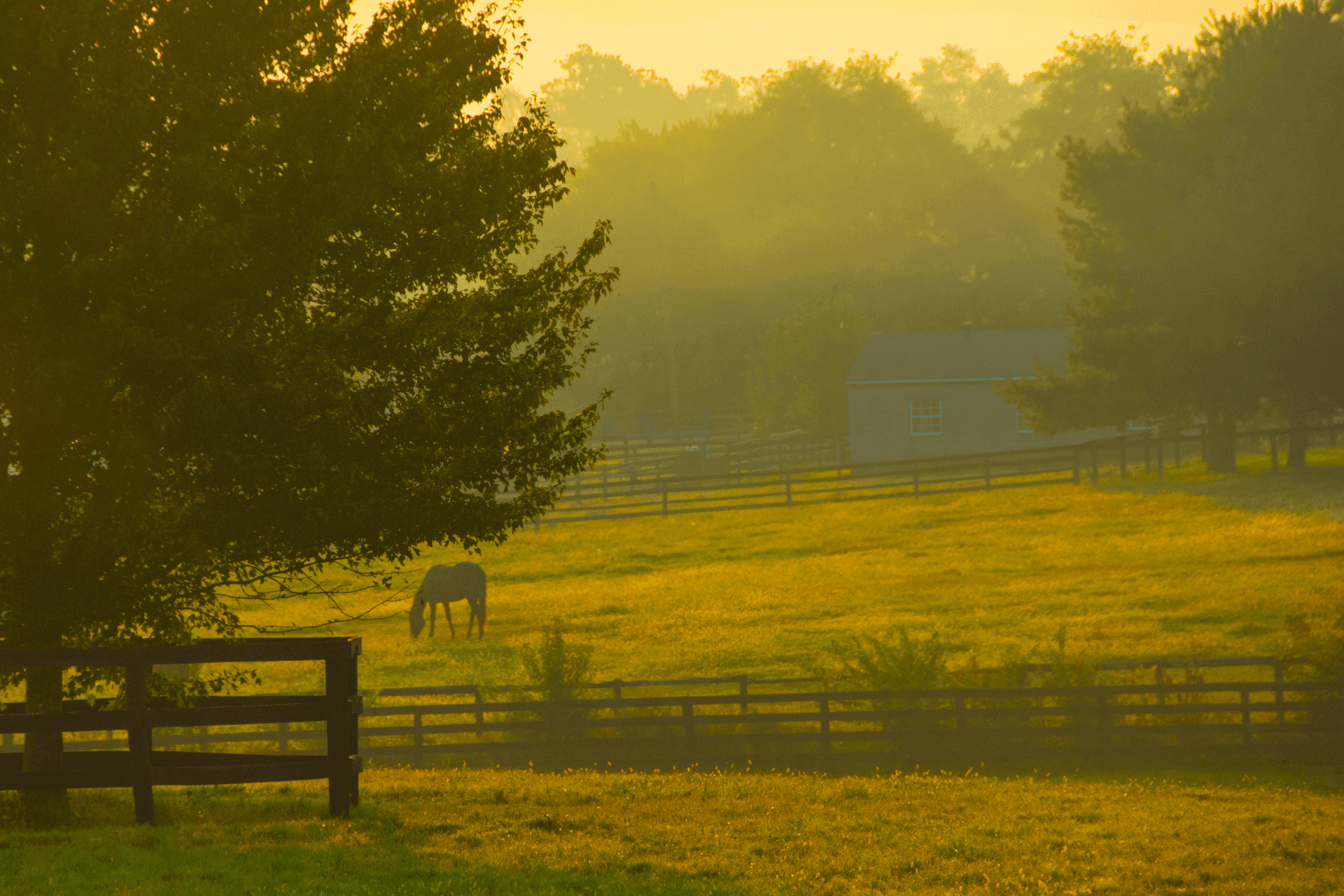 Explore Kentucky’s Regions – KY VALOR